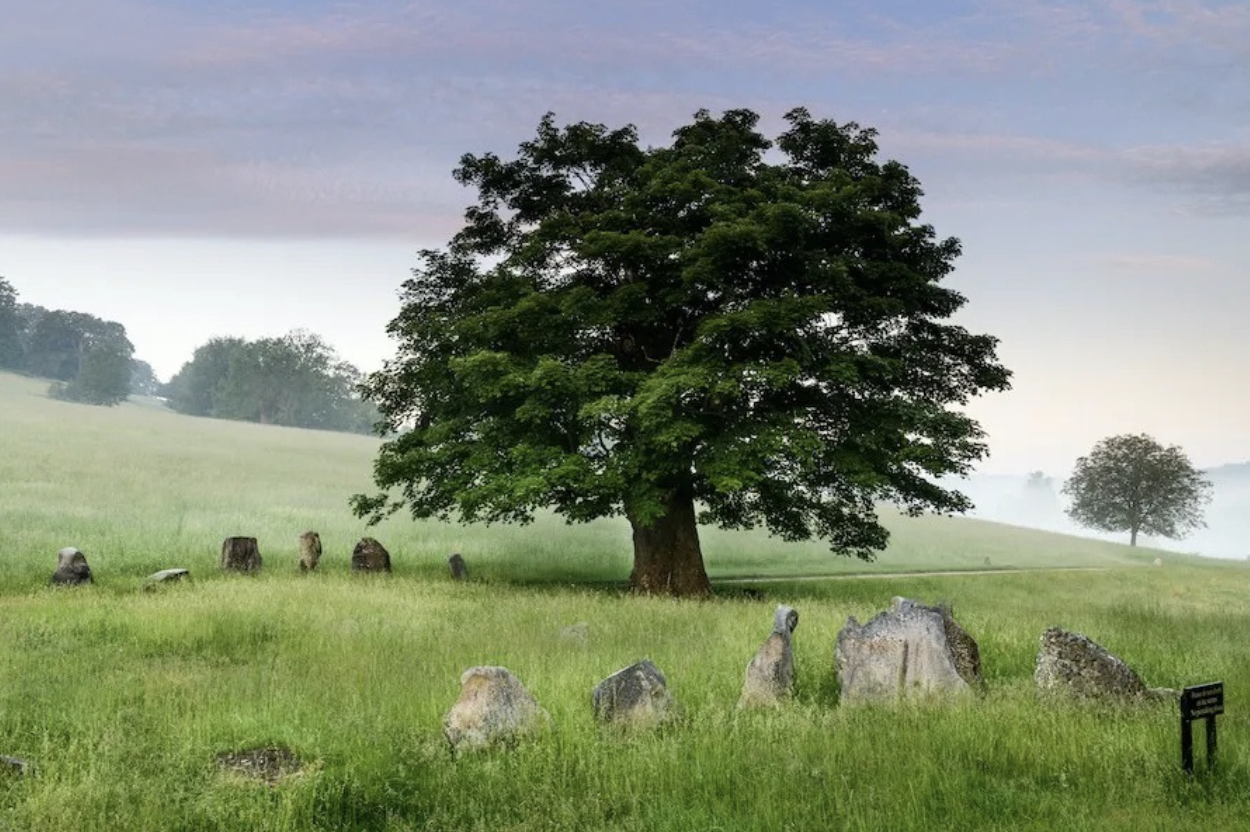 Mystical Legends of the Stone Circle at Stonor Park - Stonor